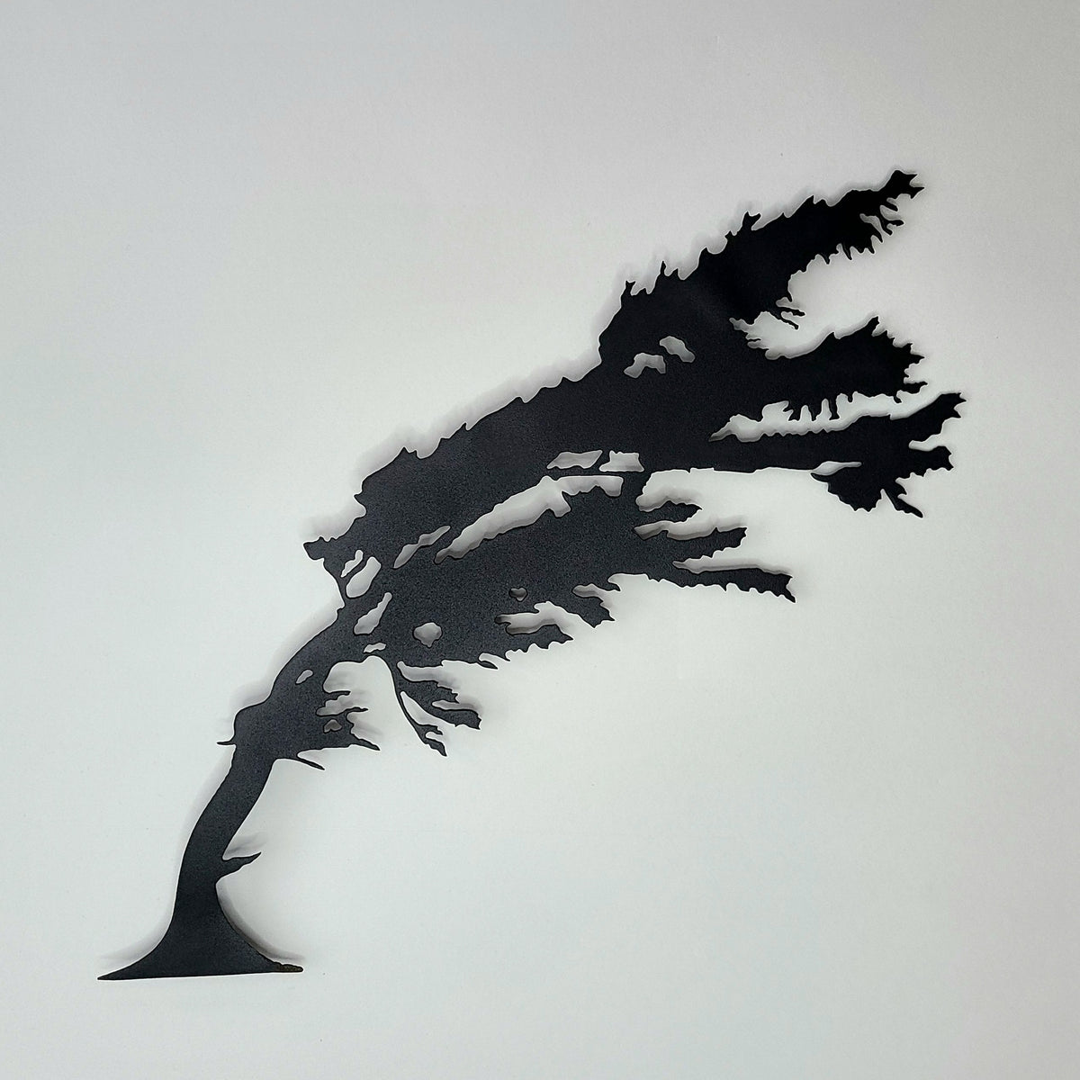 Wild Pacific Windswept Tree – Ruggid Coast