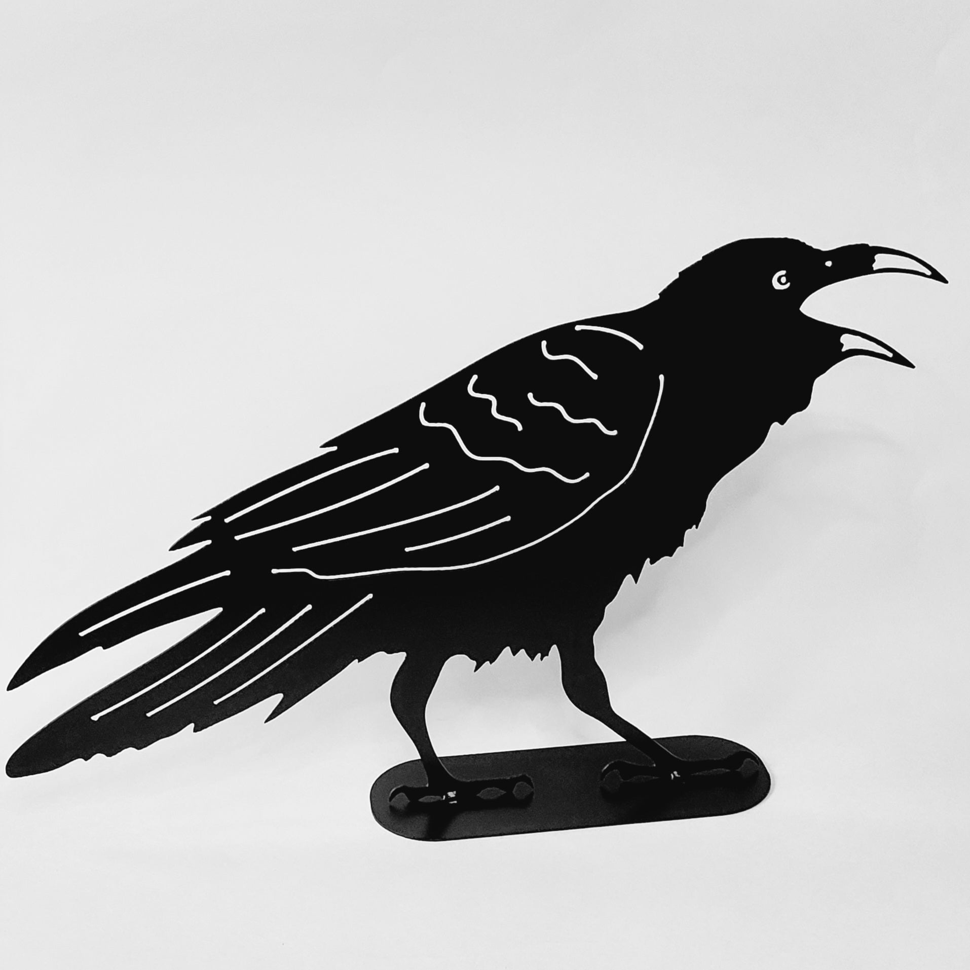 Raven Standing Ruggid Coast raven-standing-ruggid-coast